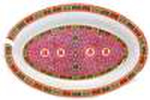 MELAMINE OVAL PLATE 7