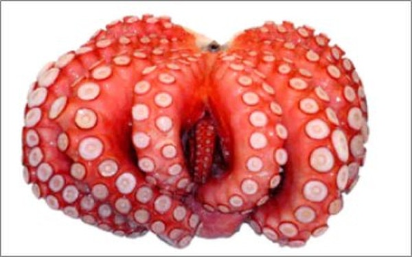 MADAKO TAKO(Cooked/BoiledOcto)