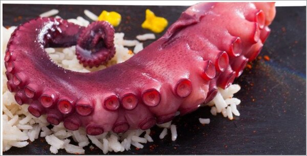 MADAKO-LEG ONLY(OCTO.)