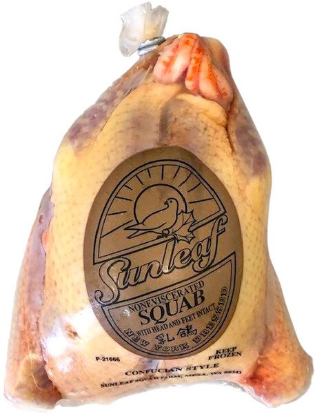 PIGEON FROZEN (SQUAB) MEDIUM