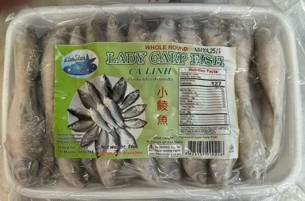 Lady Carp whole, 30x14oz(26.25lbs/cs) (Blue Star)
