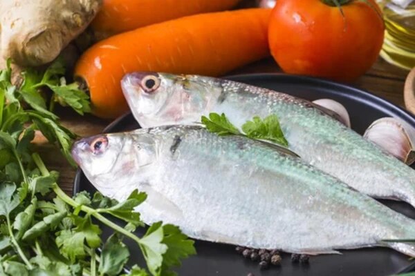 HILSHA FISH WHOLE IWP