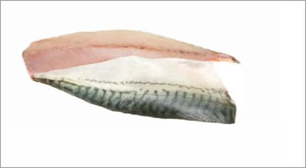 Mackerel Atlantic from Norway