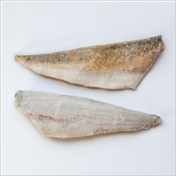 WALLEYE fillets