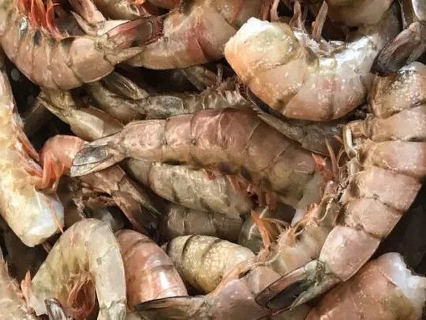 SHRIMP EZP iqf