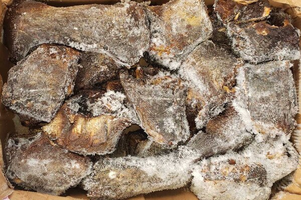 BARRACUDA KINNEY FISH CHUNK (ASIKO)