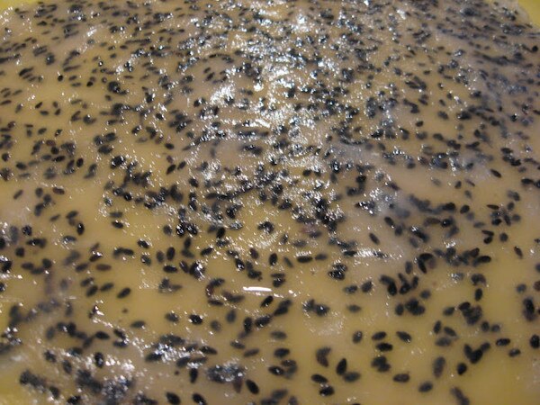 RICE PAPER WITH BLACK SESAME (NAM PHONG)